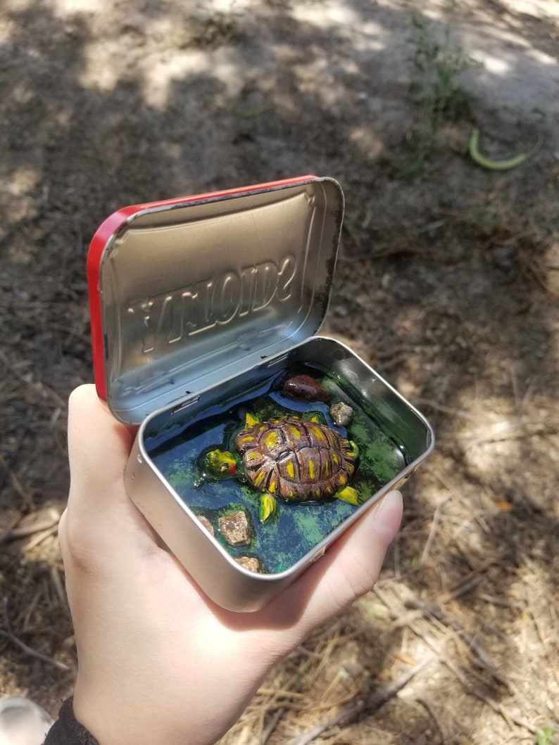 Red Eared Slider Turtle Altoid Tin Resin Pond Polymer Clay Art - Etsy