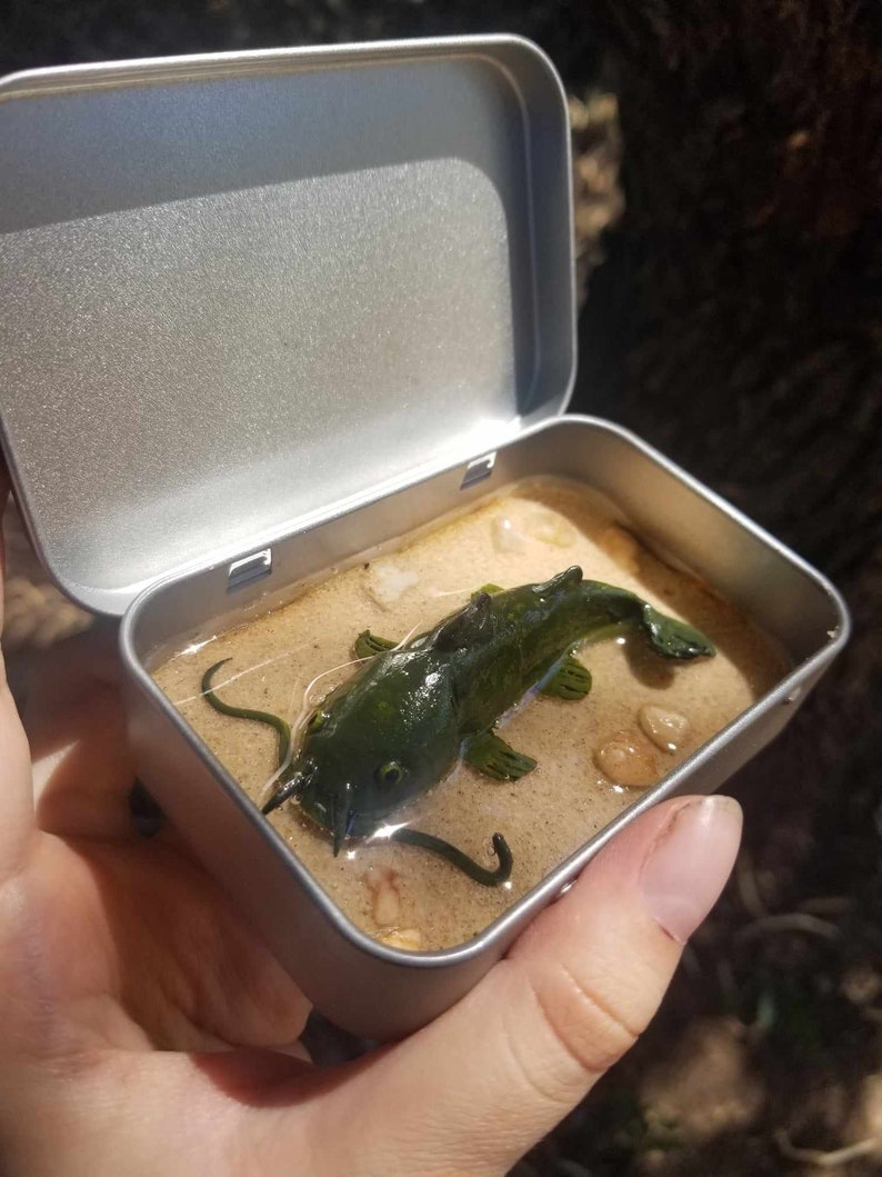 Catfish in Resin Pond Polymer Clay Art Pond in a Tin - Etsy