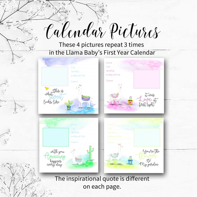 Llama Calendar Baby's First Year, Landmarks Stickers, Cute Baby ...