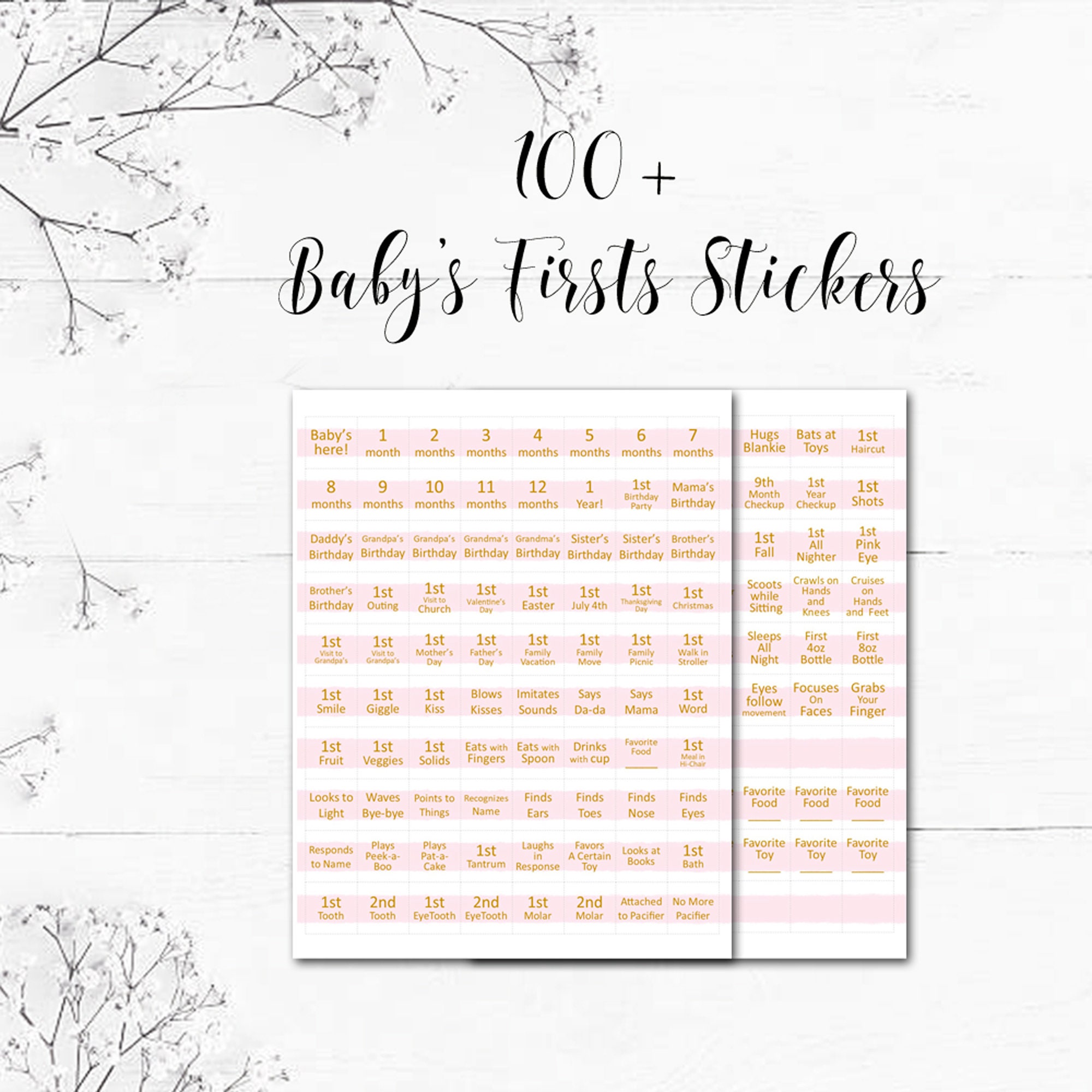Stripes N Roses Baby's First Year Calendar, Baby's Firsts Memory ...