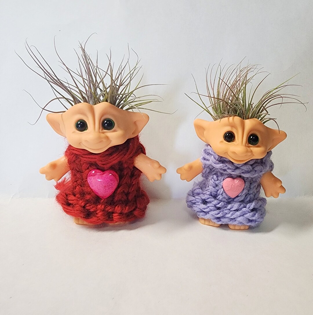 Troll Air Planter Tillandsia Iona Double Air Plants - Etsy