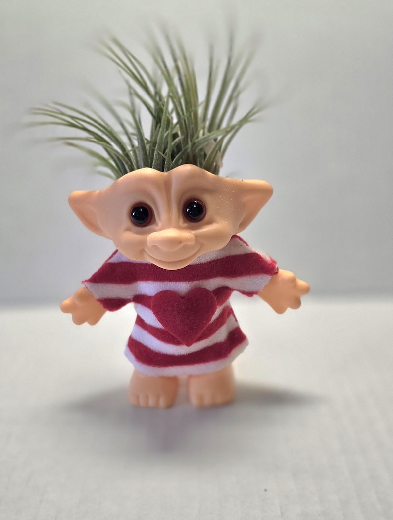 Troll Air Planter, Tillandsia, Iona Double Air Plants, Heart Troll ...