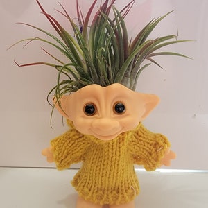 Troll Air Planter Tillandsia, Iona Double Air Plants, Troll W/ Sweater ...