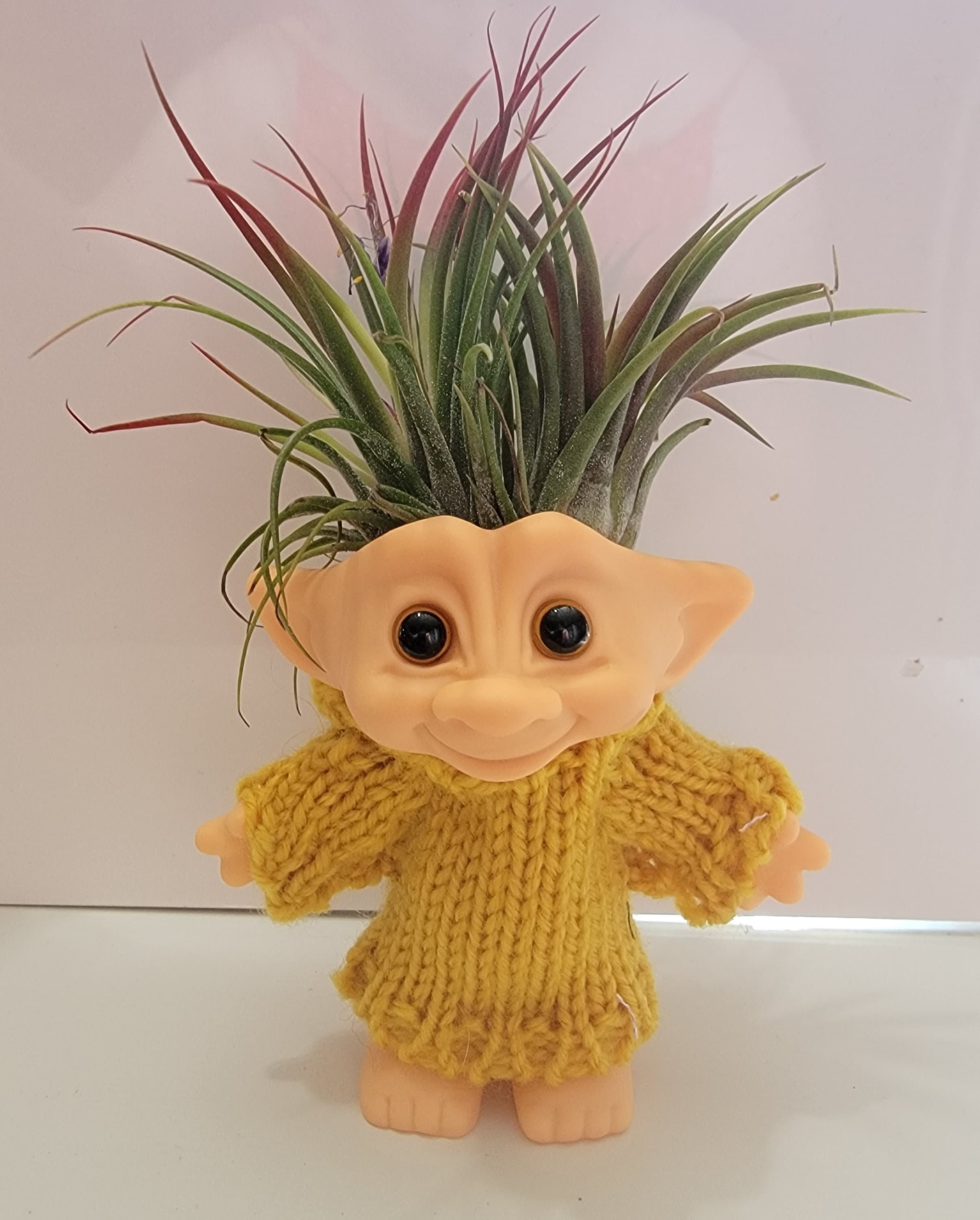 Troll Air Planter Tillandsia, Iona Double Air Plants - Etsy