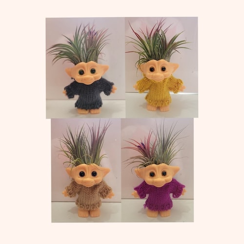 Troll Air Planter Tillandsia, Iona Double Air Plants - Etsy