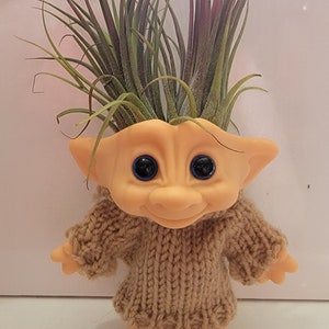 Troll Air Planter Tillandsia, Iona Double Air Plants, Troll W/ Sweater ...