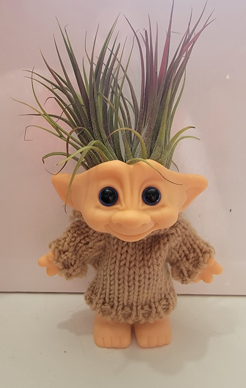 Troll Air Planter Tillandsia Iona Double Air Plants - Etsy