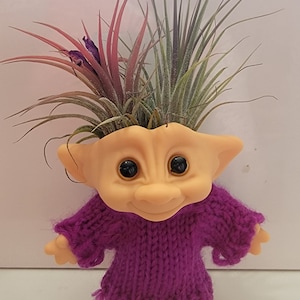Troll Air Planter Tillandsia, Iona Double Air Plants, Troll W/ Sweater ...