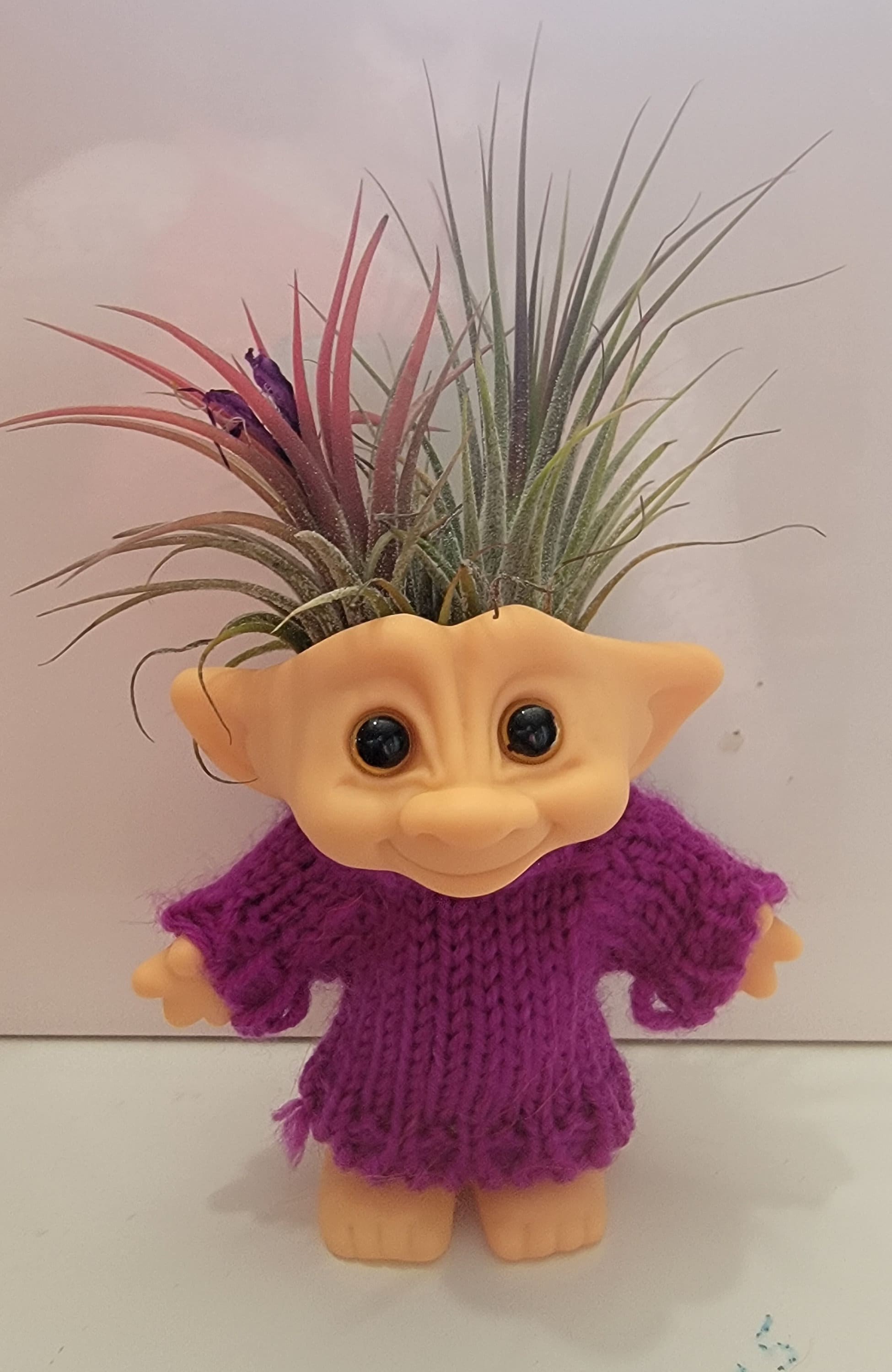 Troll Air Planter Tillandsia Iona Double Air Plants - Etsy