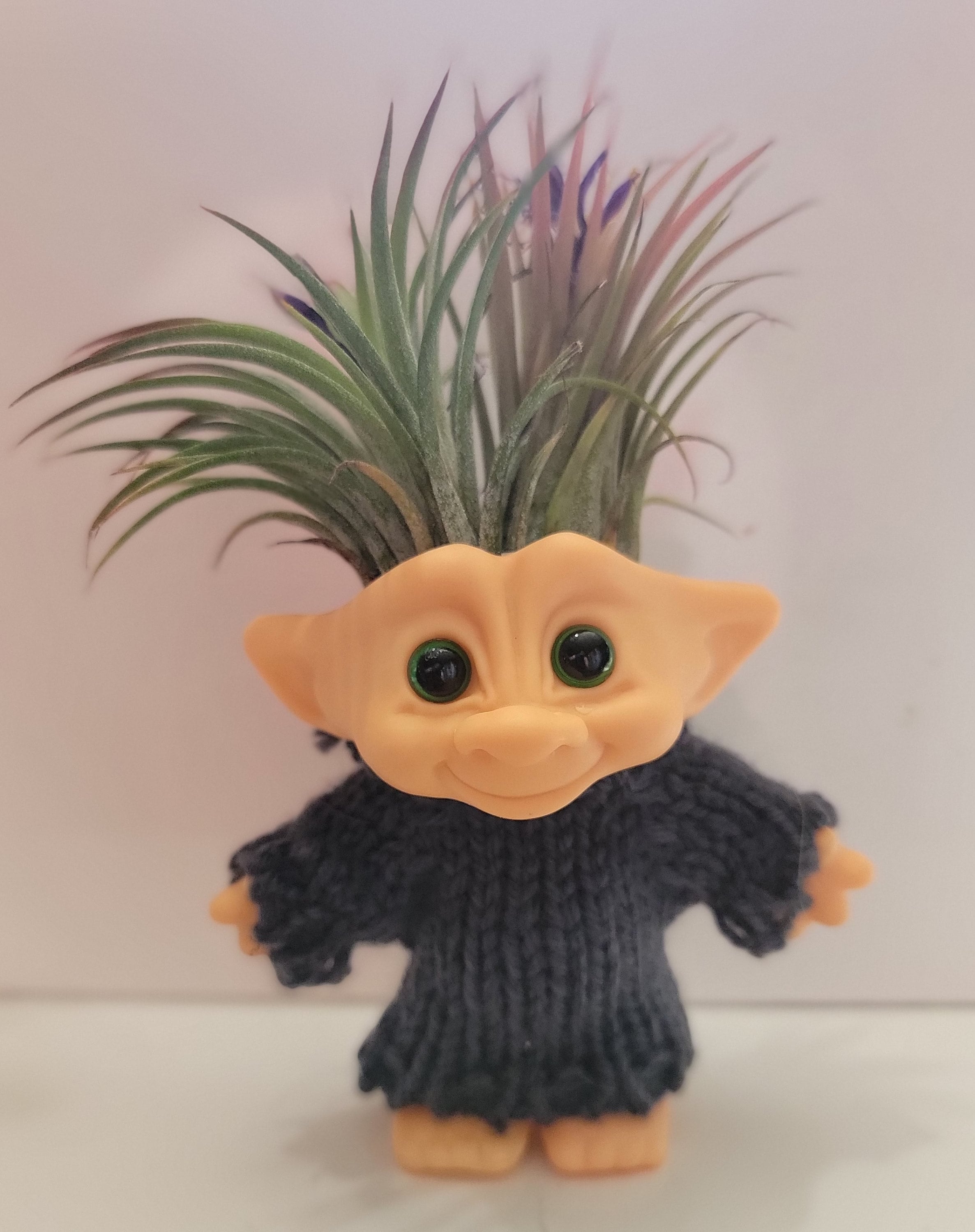 Troll Air Planter Tillandsia, Iona Double Air Plants - Etsy