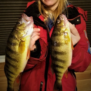 Perch Slayer Package - Etsy