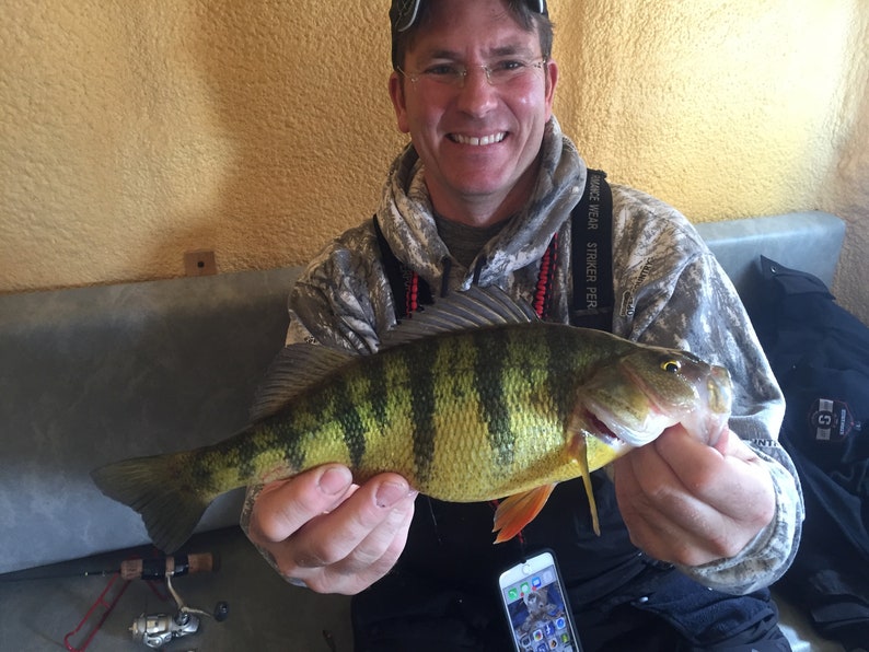 Perch Fly Rig - Etsy