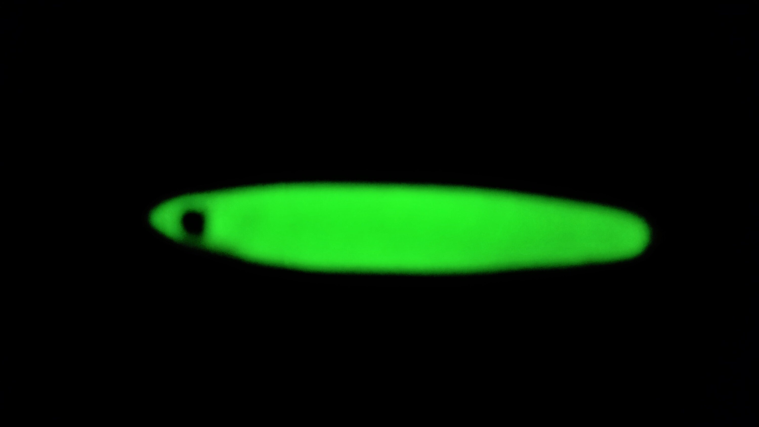 Glo-perch Chain Jig SILVER SLAYER - Etsy