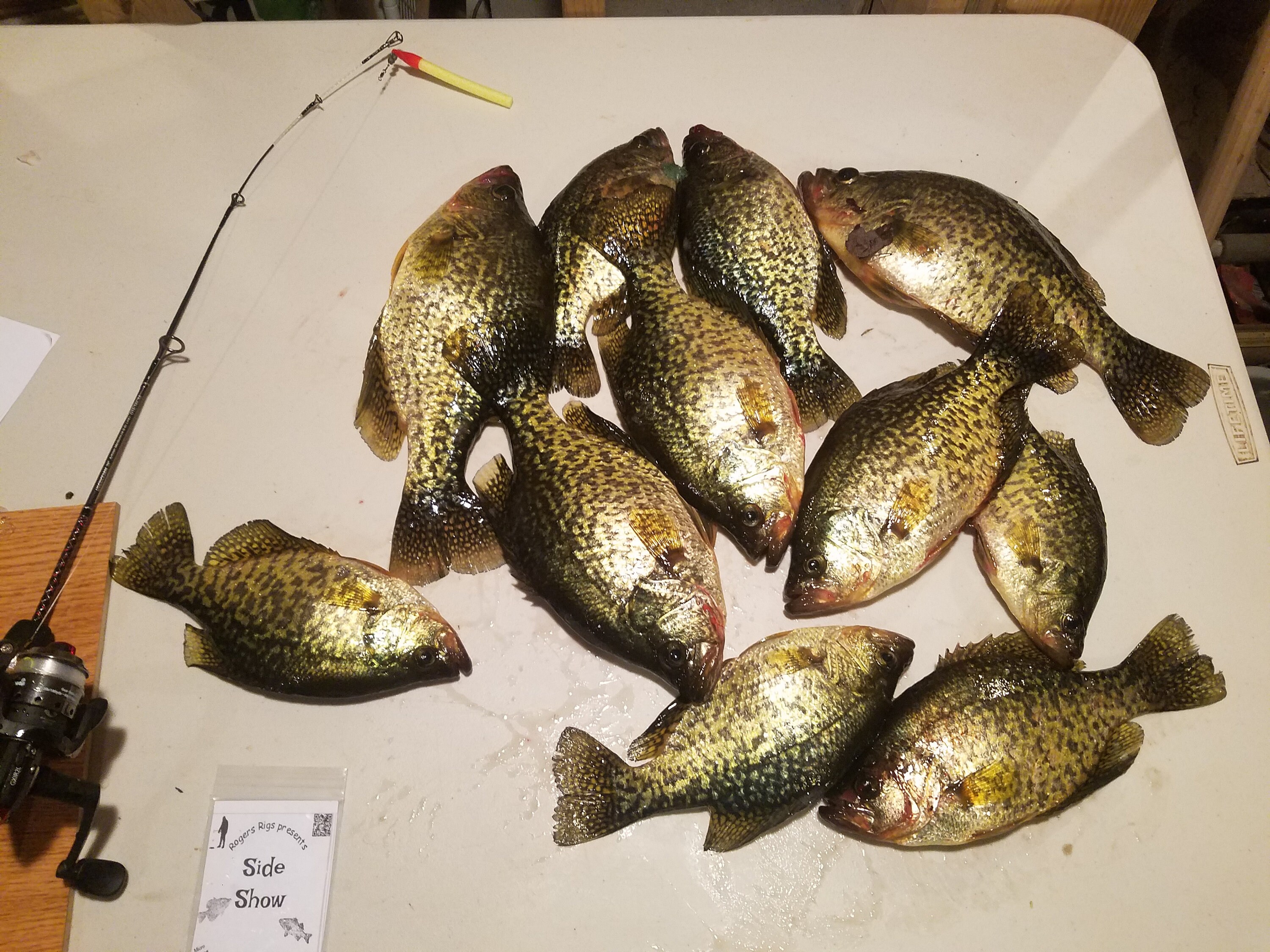 Glo-perch Chain Jig (SILVER SLAYER) - Etsy