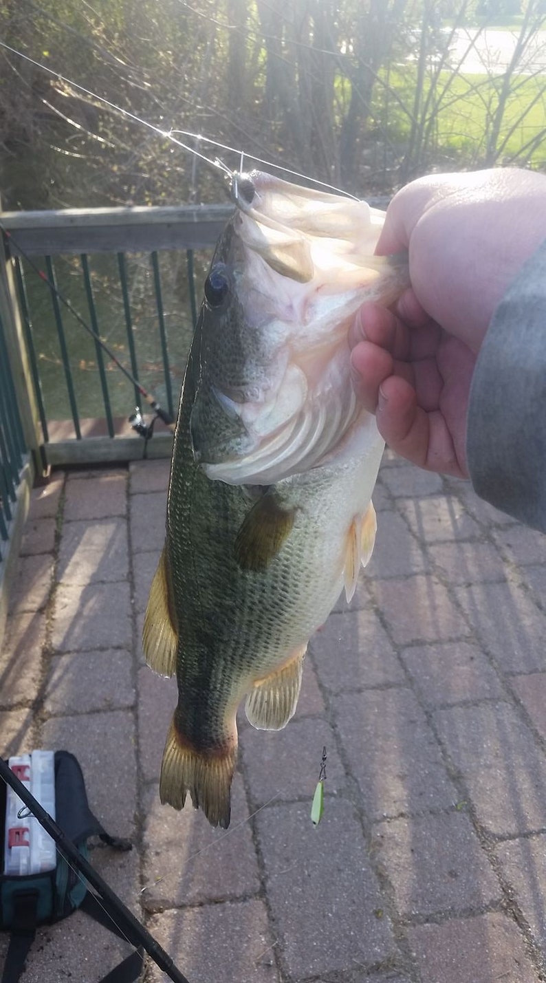 Perch Fly Rig - Etsy