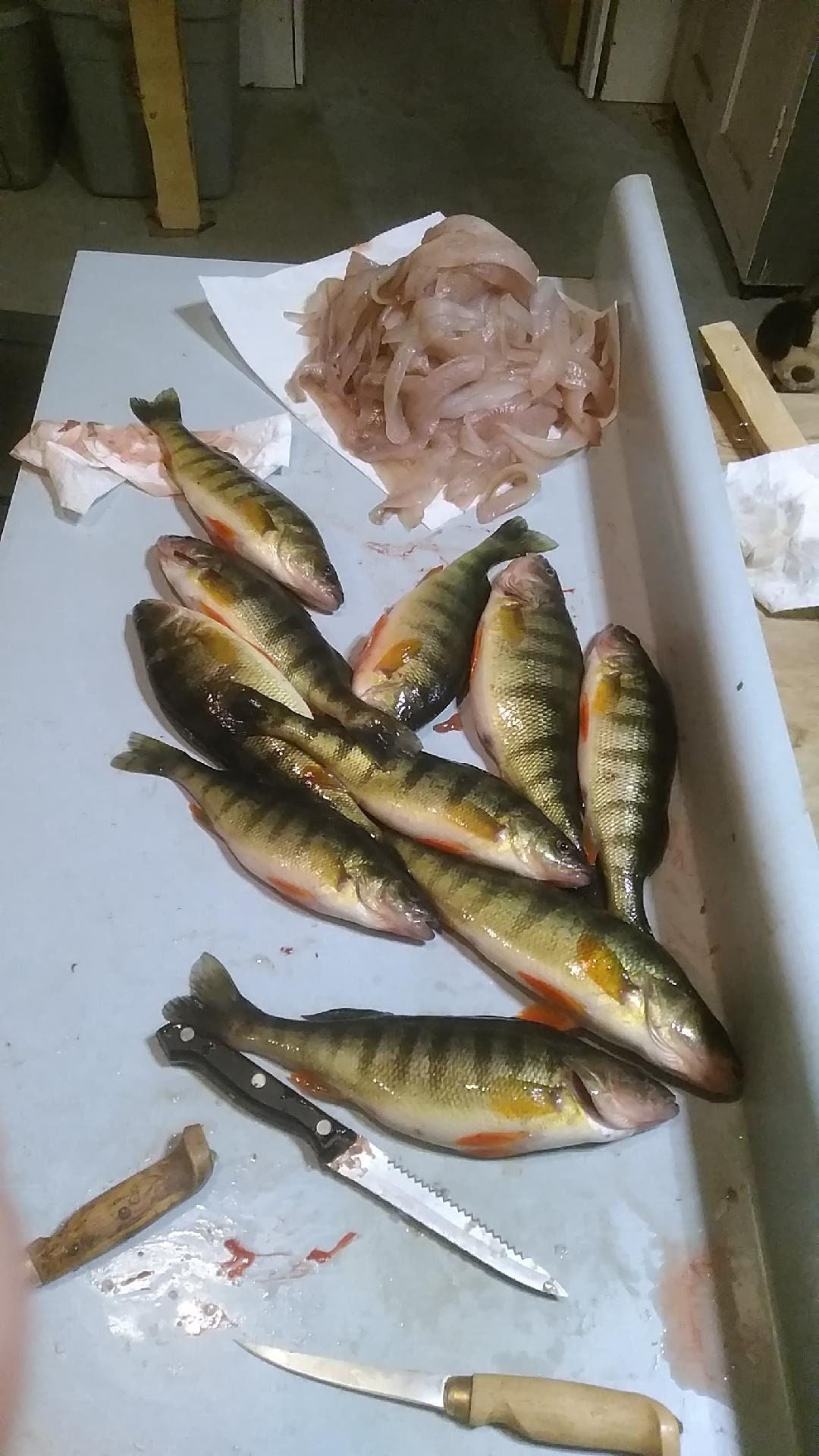 Glo-perch Chain Jig (SILVER SLAYER) - Etsy