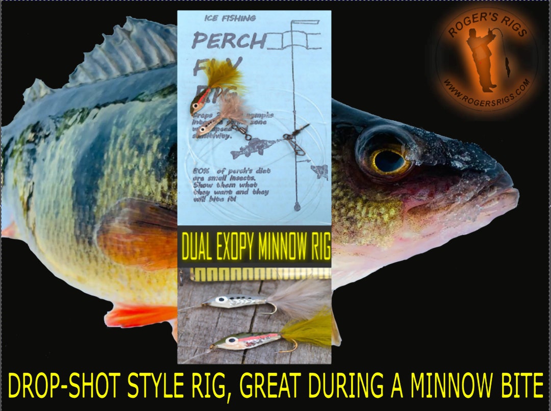 Perch Minnow Rig - Etsy