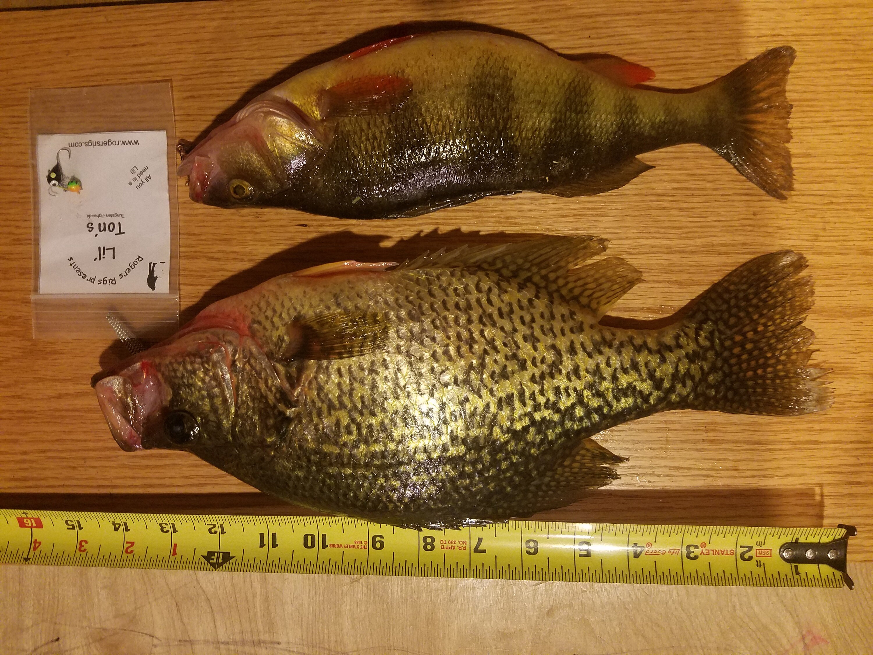 Glo-perch Chain Jig (SILVER SLAYER) - Etsy