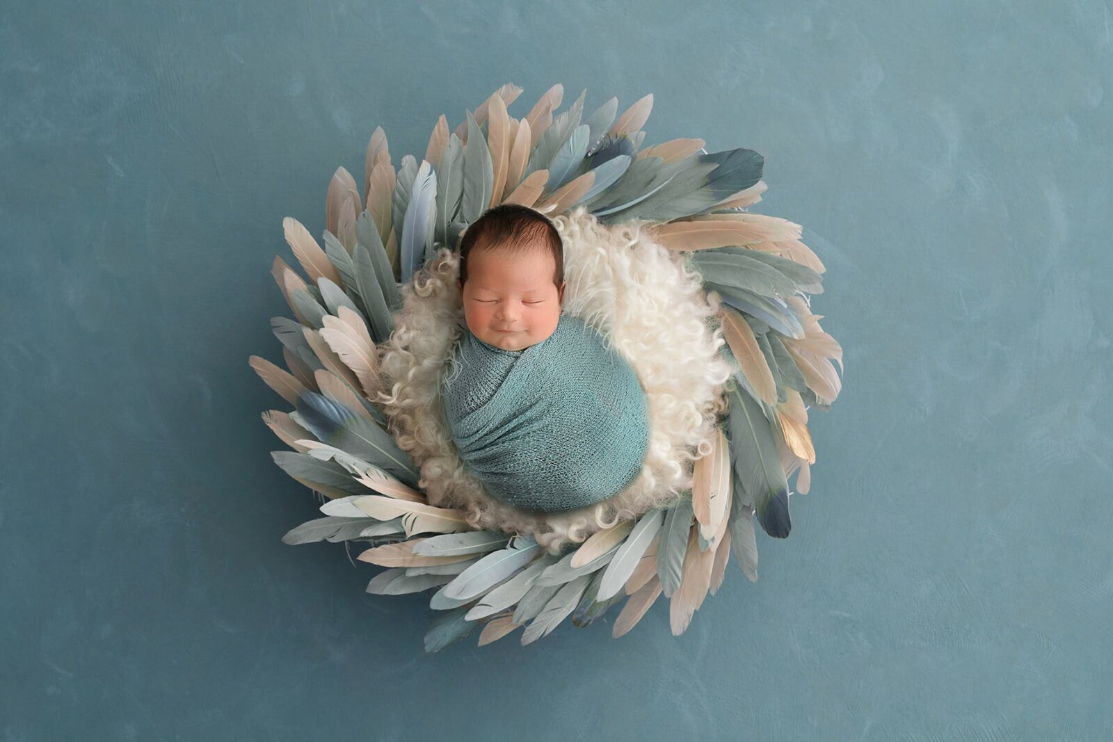 Pastel Light Blue Duck Egg Feathersdigital Backdrop Background Newborn ...