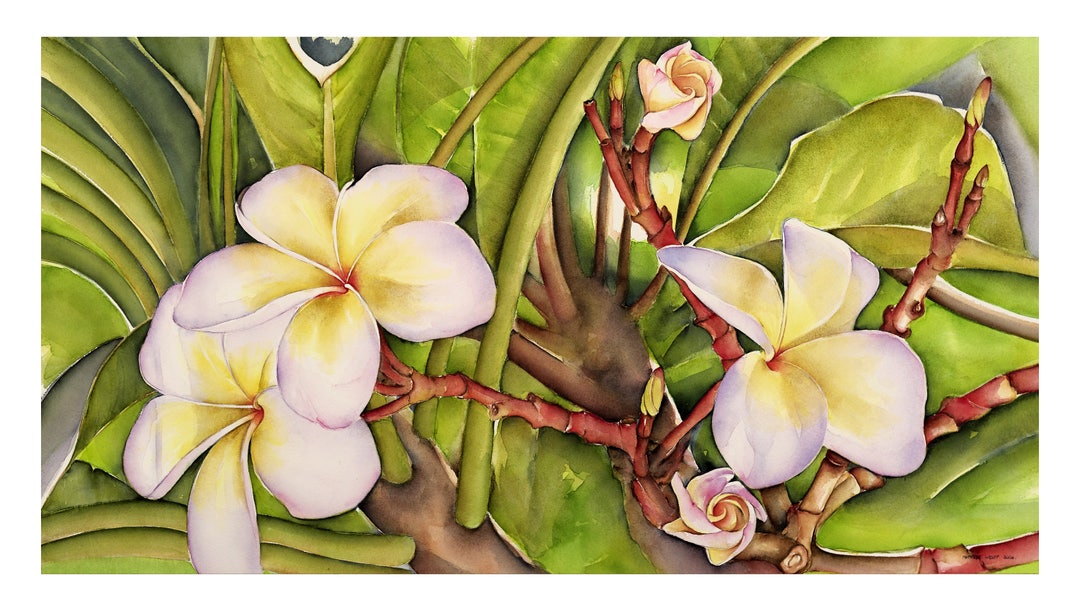 Frangipani Art Print 52x92 Cm, Numbered and Signed. Made From My ...