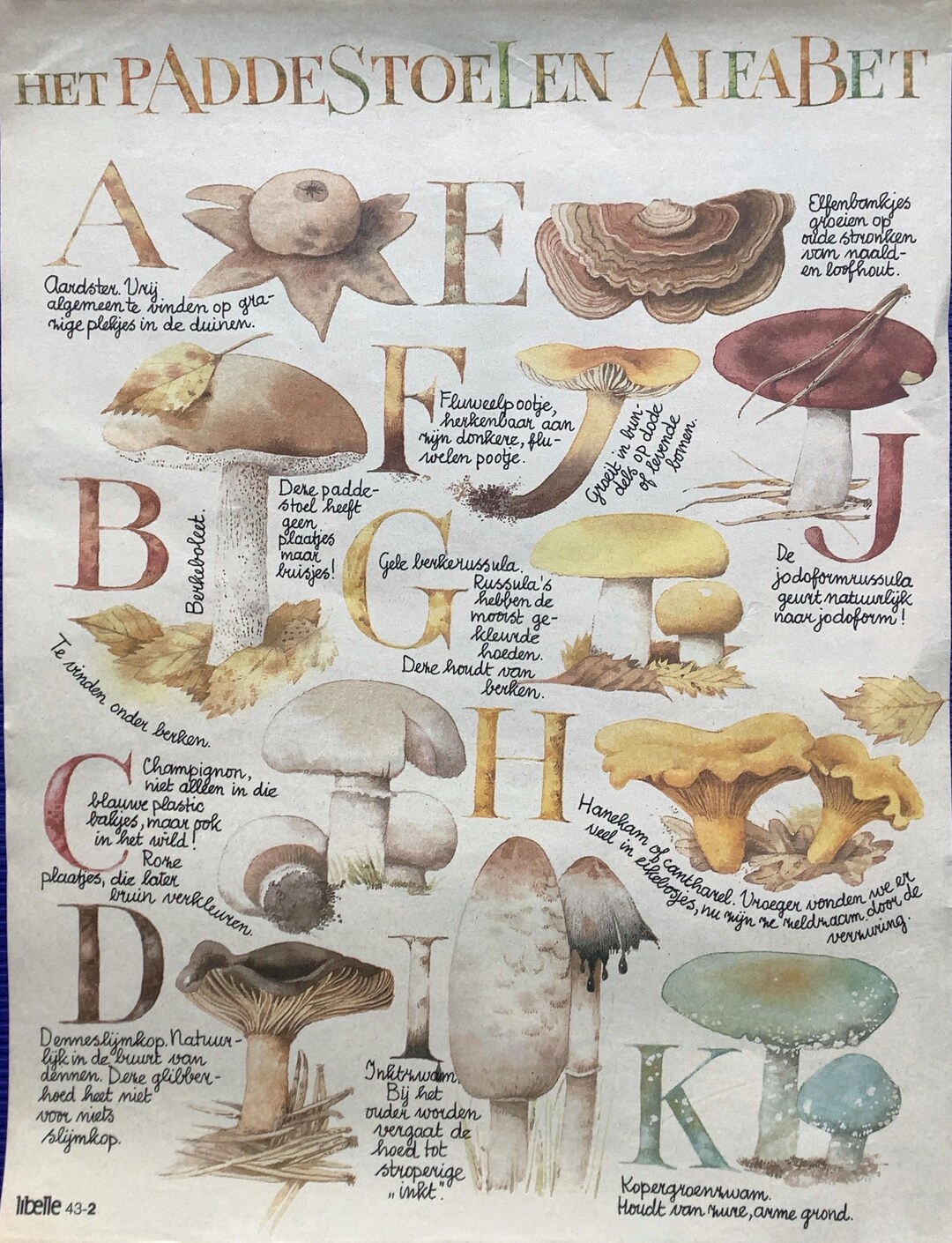 Vintage Mushroom and Fungi Alphabet Pages by Marjolein Bastin - Etsy UK