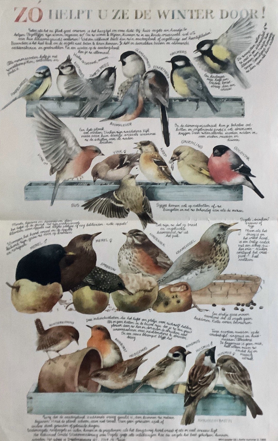 Vintage Bird Feeding Poster by Marjolein Bastin - Etsy