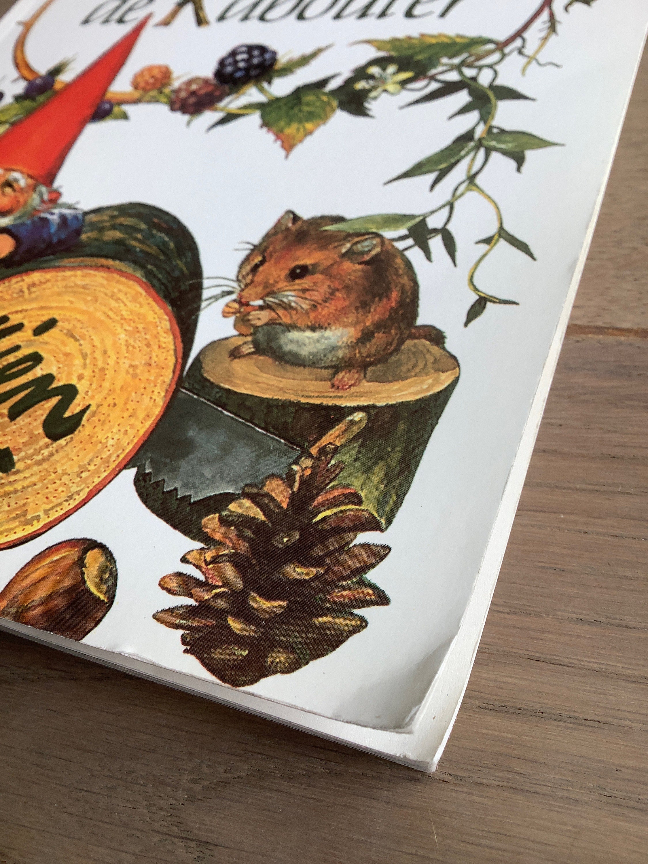 Life and Works of the Gnome / Leven En Werken Van De Kabouter Part 1 by ...