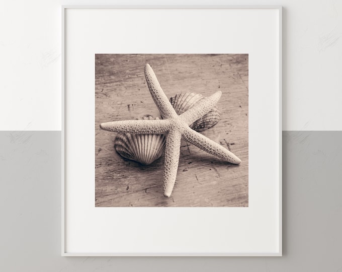 Square Sea Shells Print, Star Fish Bathroom Decor, Sea Theme Wall Art ...