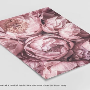 Pink Floral Print Set of 3, Pink Peonies Wall Art, Flower Prints ...