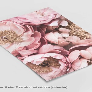 Pink Floral Print Set of 3, Pink Peonies Wall Art, Flower Prints ...