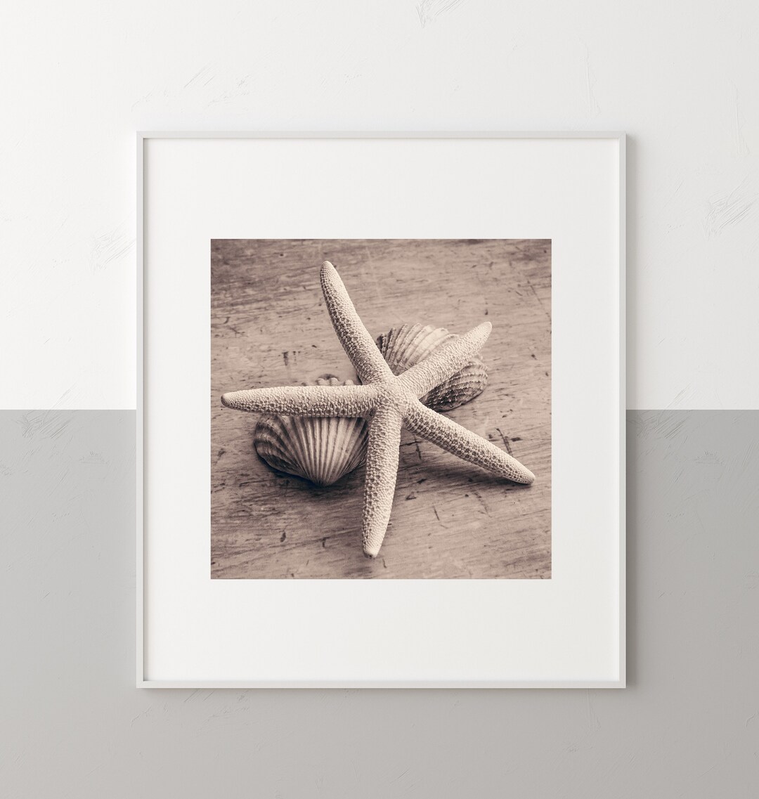 Square Sea Shells Print, Star Fish Bathroom Decor, Sea Theme Wall Art ...