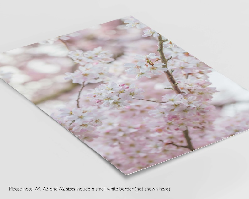 Pink Blossom Tree Print: Romantic Floral Wall Art - Etsy