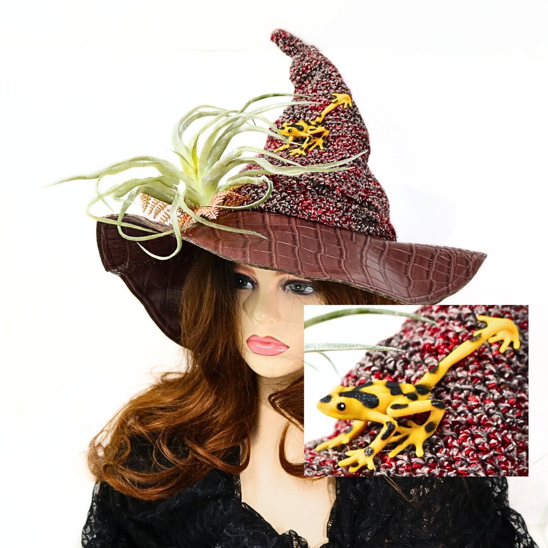 Tree Frog Swamp Witch Hat, Witch or Wizard Hat, Southern Reptile Brim ...
