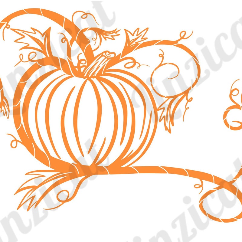 Pumpkin Vine - Etsy
