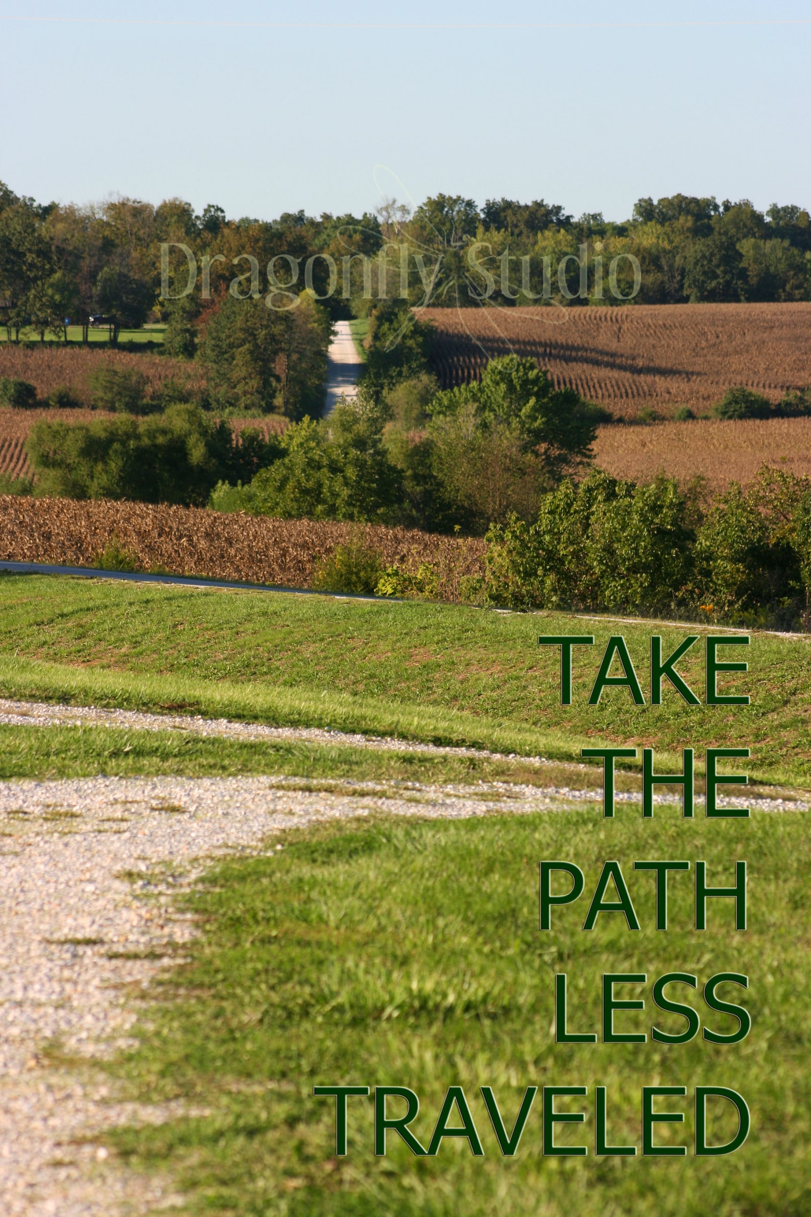 Take the Path Less Traveled, Digital Download, Landscape Photography ...