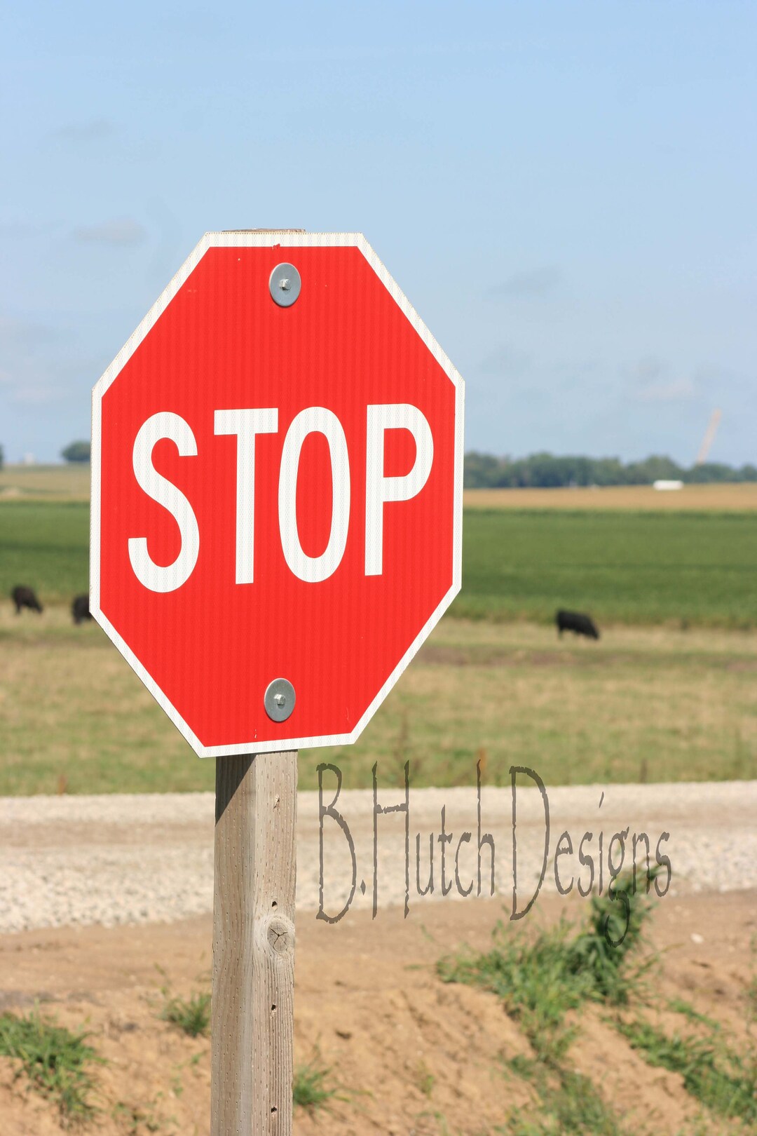 Stop Sign, Road Sign, Country Road Stop Sign, Rural Iowa, Digital ...