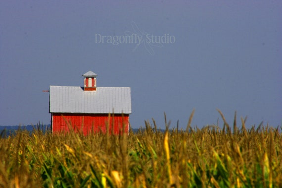 Red Barn Nestled in Corn Field Farm Photography Rural | Etsy