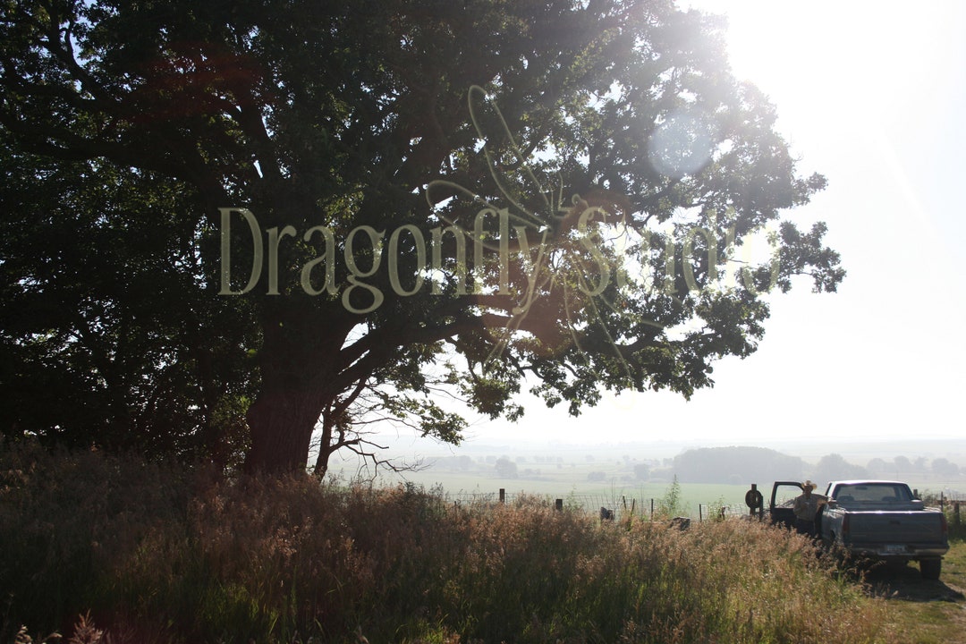 Scenic Overview , Nature Photography, Digital Download, Landscape ...
