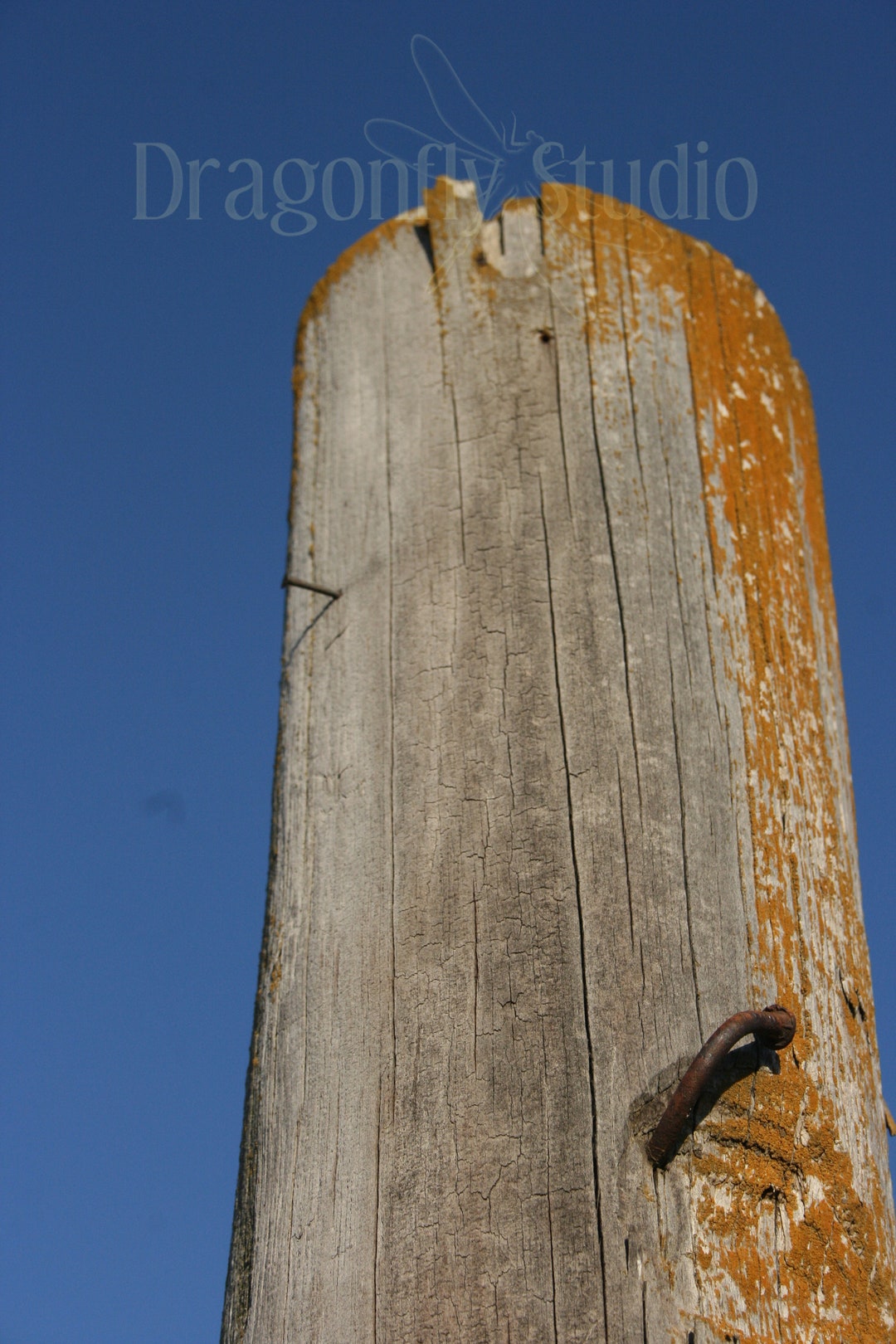 Fence Post, Farm Photography, Rural Photography, Digital Download, Wall ...