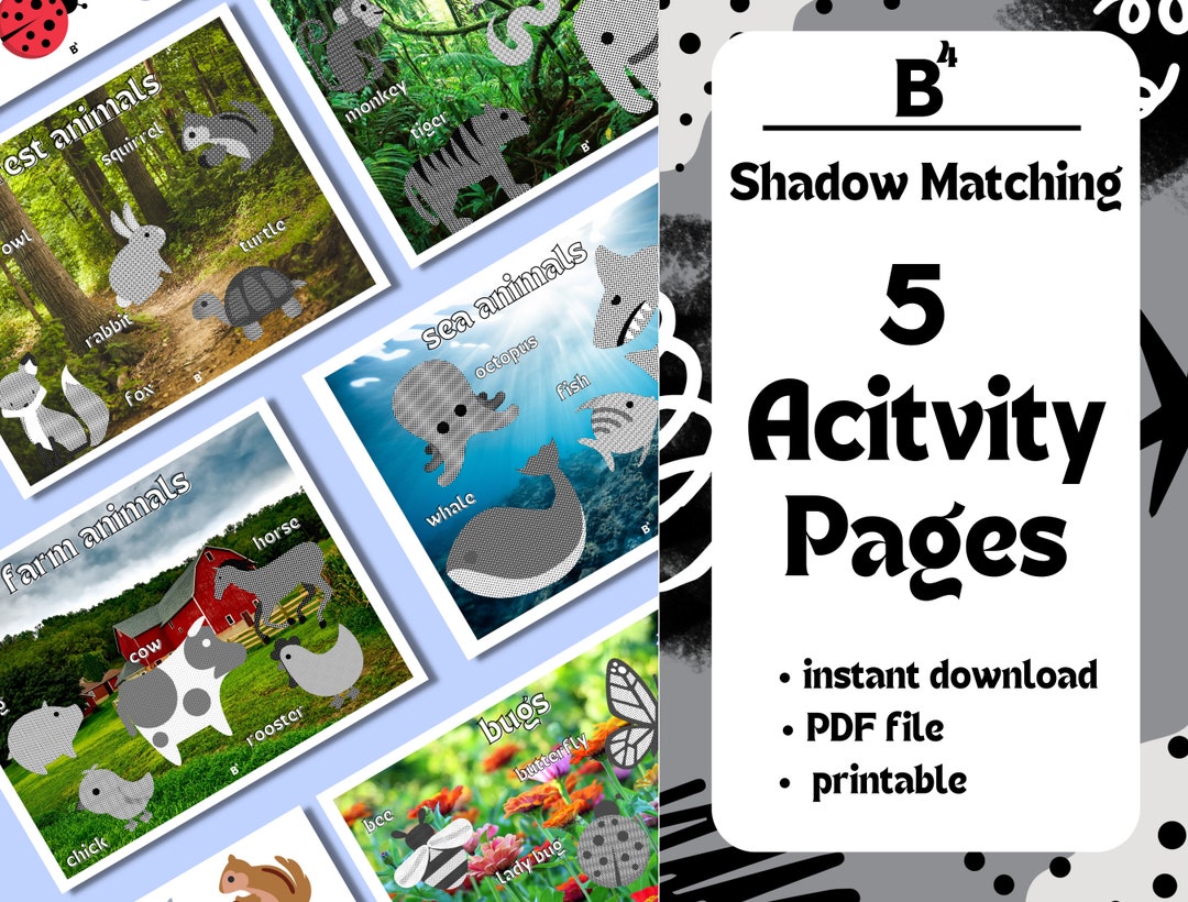 Toddler Busy Book, Shadow Match Activity, Toddler Workbook Pages ...