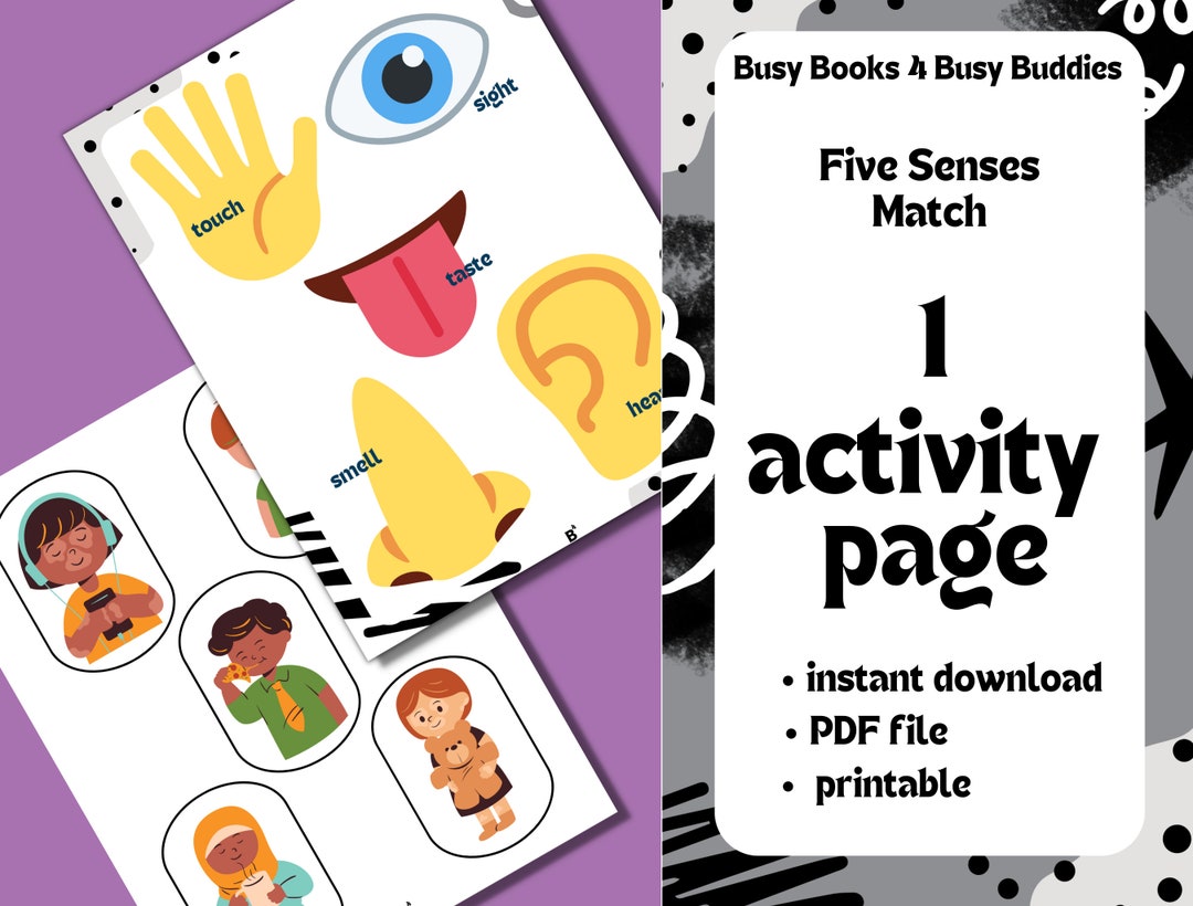 Preschool Curriculum, Toddler Busy Book, Learning Binder, Five Senses ...