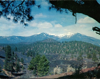 Flagstaff Postcard - Etsy