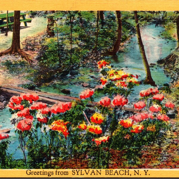 Scenic Postcards - Etsy