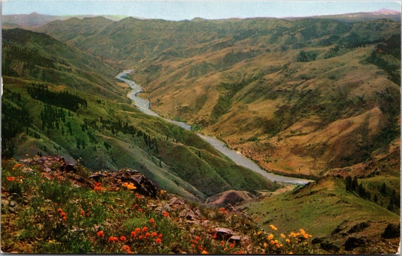 Aerial Snake River Oregon