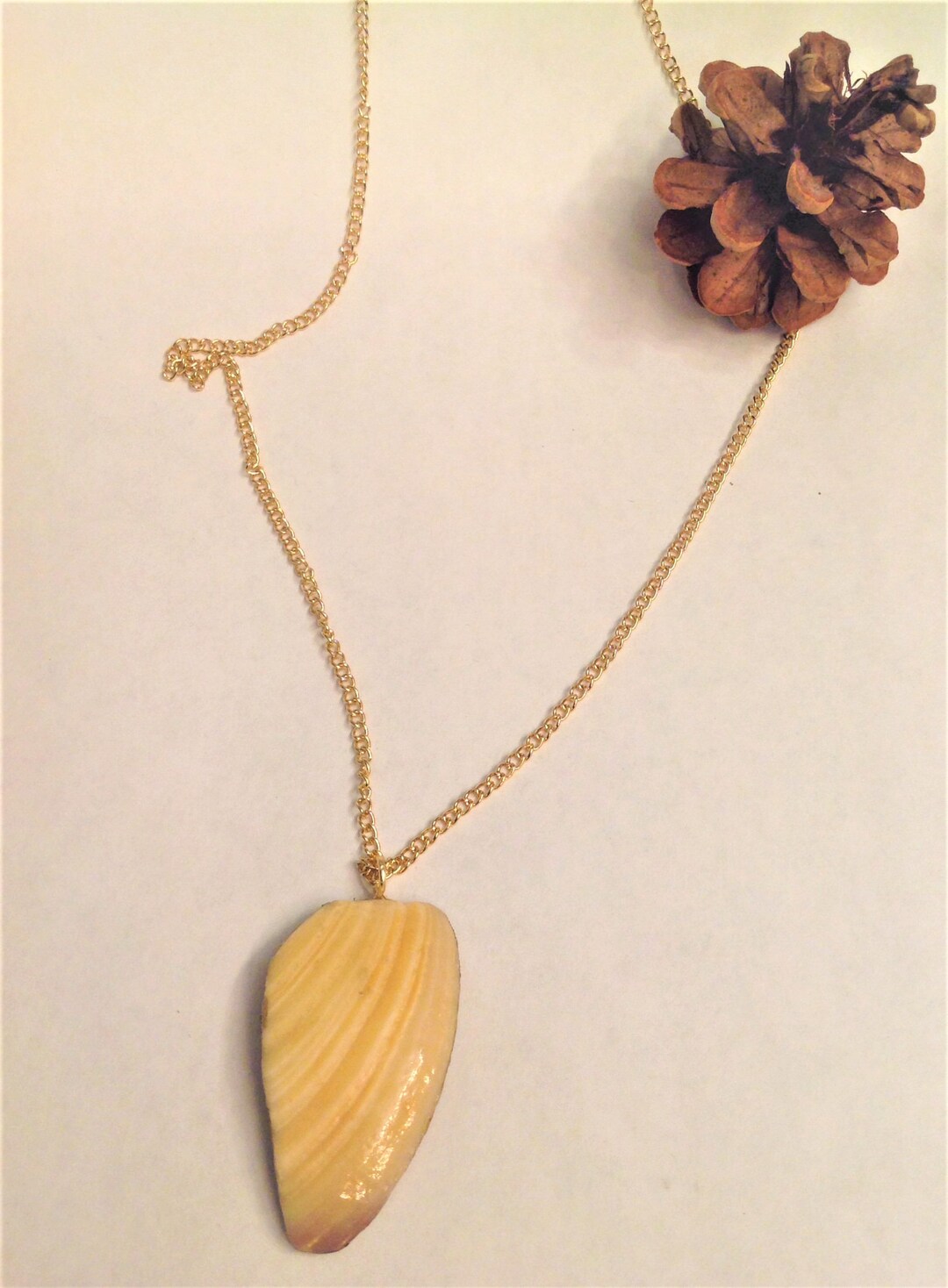 Virginia Beach Shell Pendant Necklace, Atlantic Ocean Shell, Casual ...