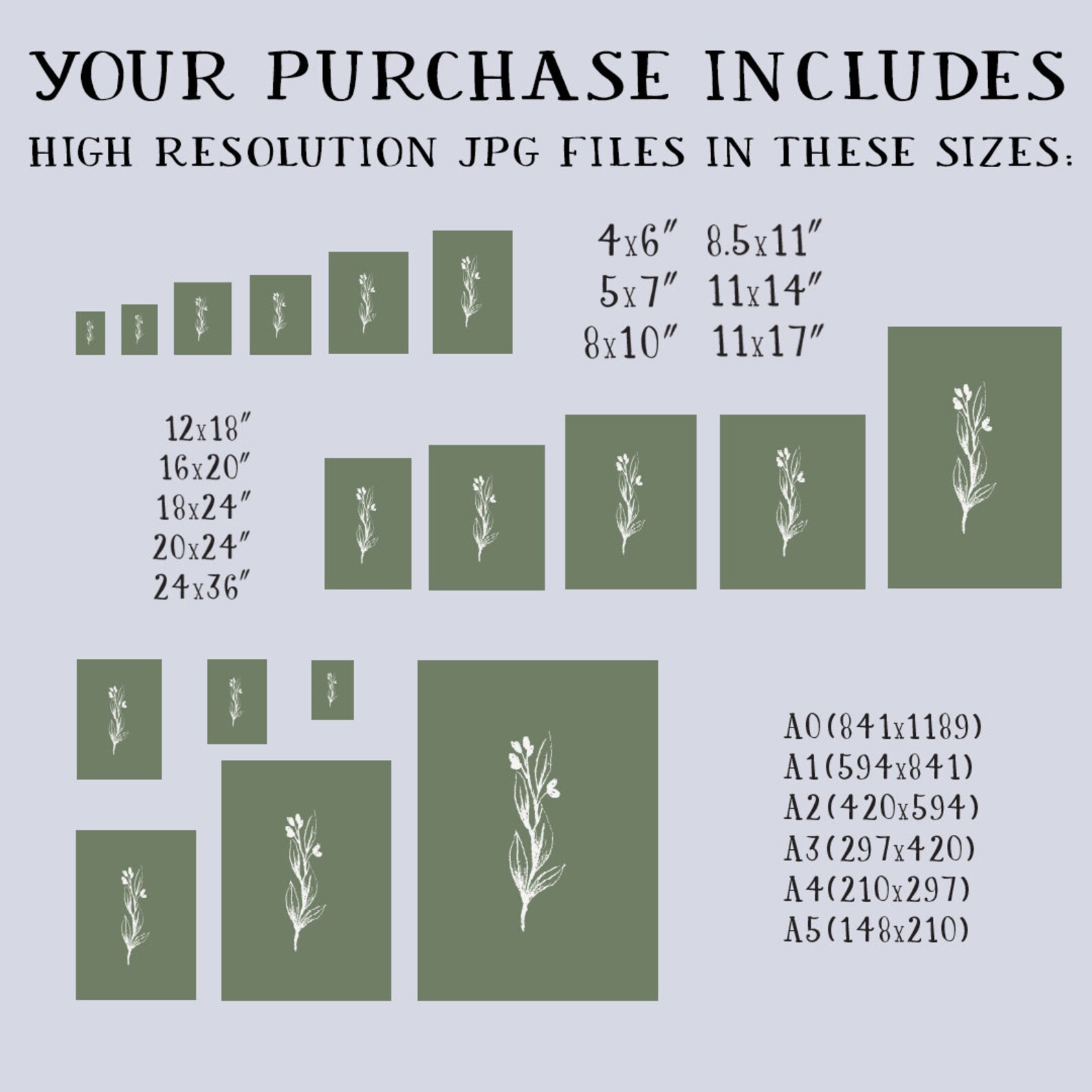 Downloadable Prints Botanical Print Set Set of 3 Sketched - Etsy