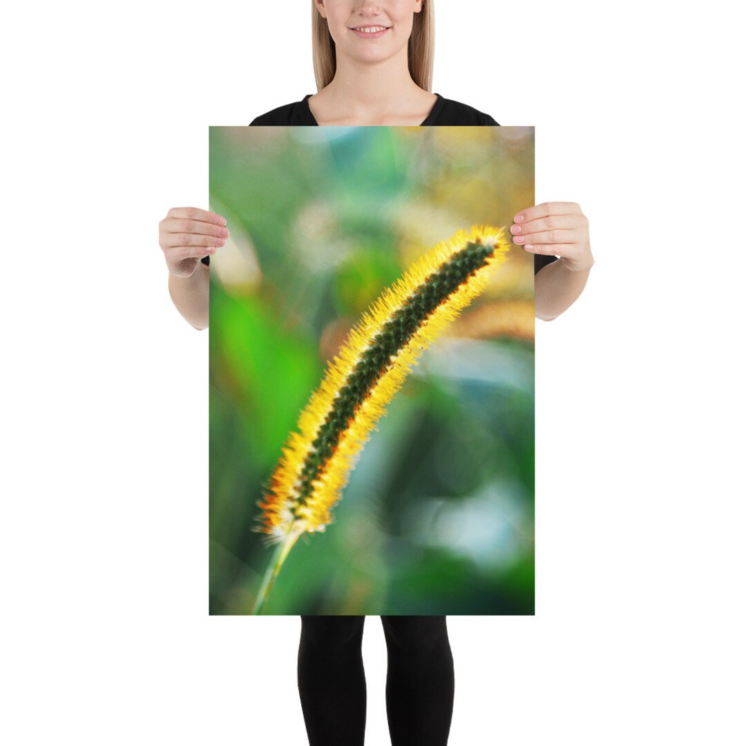 YELLOW FOXTALE Photo Poster Wall Art Décor Without Frame - Etsy