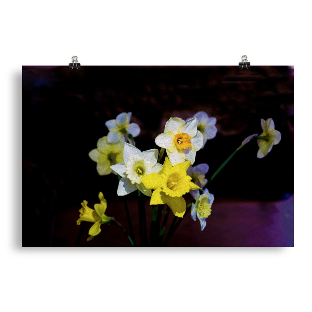DAFFODIL FLOWERS Photo Poster - Etsy