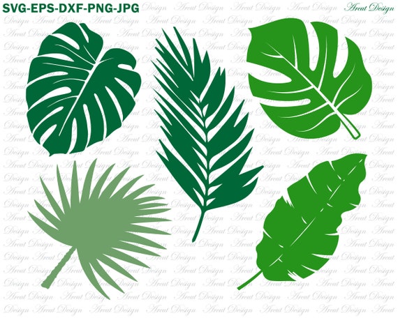 Digital Art & Collectibles Plant Sticker Leaves Art Plant Png Plant ...