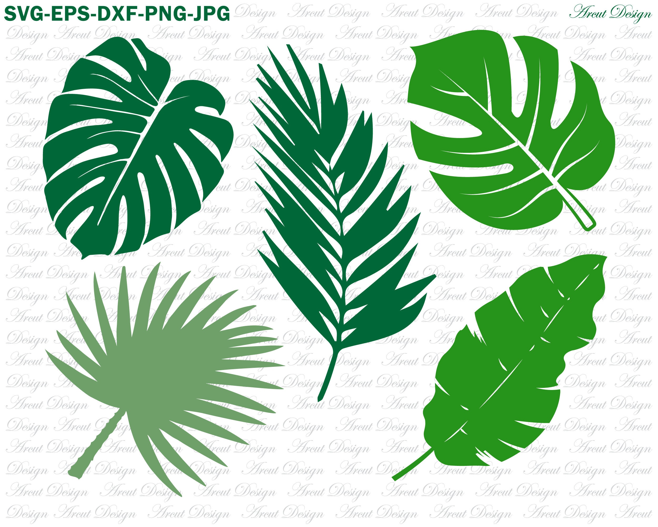 Hojas Tropicales SVG Plantas Tropicales Svg hoja svg hojas | Etsy